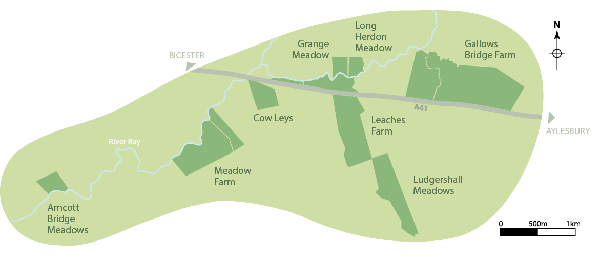 Upper Ray Meadows | Berks, Bucks & Oxon Wildlife Trust