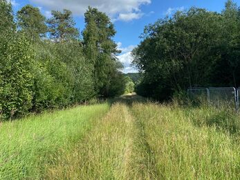 Reconnecting Bernwood, Otmoor and the Ray (RBOR) | Berks Bucks and Oxon ...