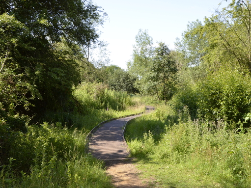 Wild Oxford | Berks Bucks & Oxon Wildlife Trust