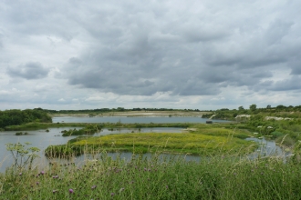 College Lake | Berks, Bucks & Oxon Wildlife Trust