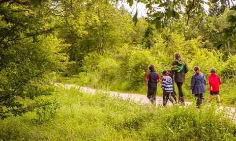 College Lake Education Centre, Bucks | Berks Bucks and Oxon Wildlife Trust