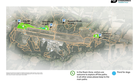 Greenham and Cookham Common | Berks Bucks & Oxon Wildlife Trust