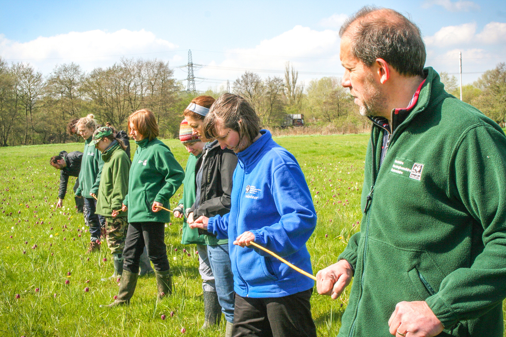 Volunteers help count 43,000 flowers | Berks Bucks & Oxon Wildlife Trust