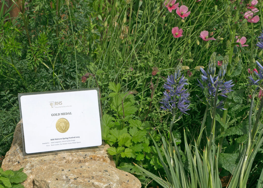 Future Nature: Wildlife Gardening Services | Berks Bucks & Oxon ...