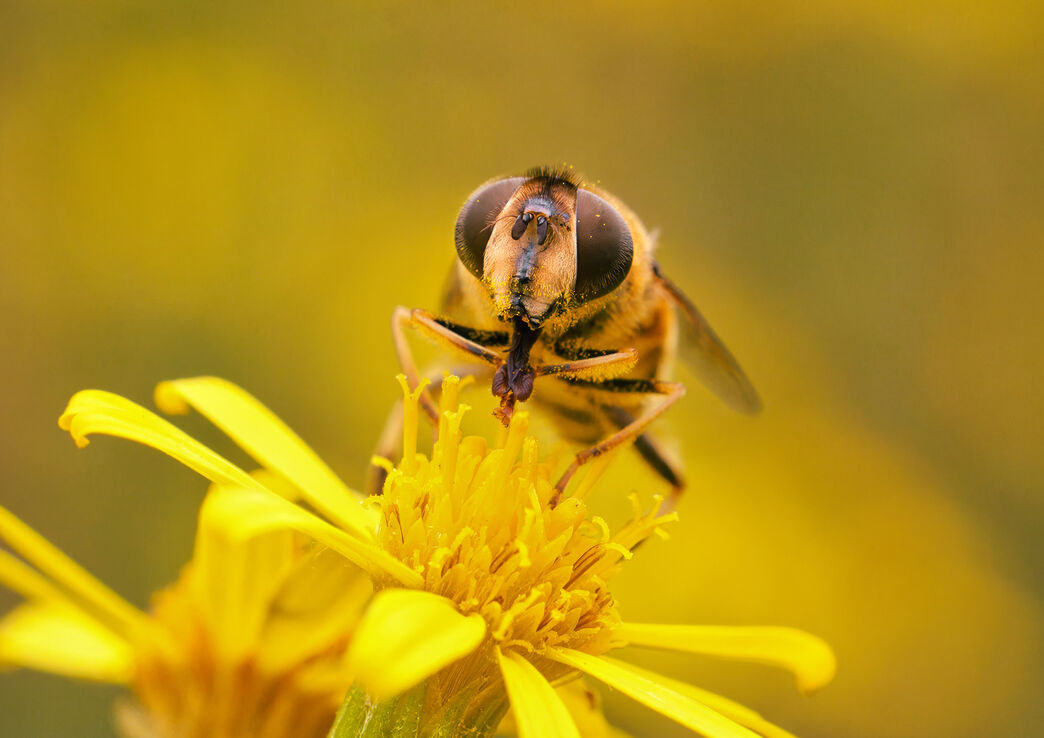 Photo Competition Results 2023 | Berks Bucks and Oxon Wildlife Trust