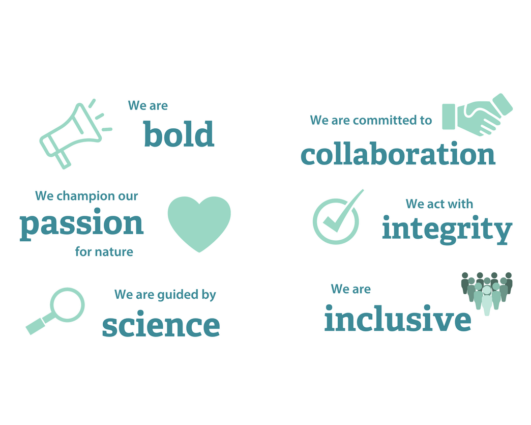 Work for us | Berks Bucks & Oxon Wildlife Trust