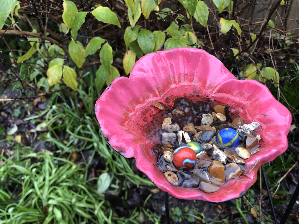 Family activity: How to make an animal footprint trap in your back ...