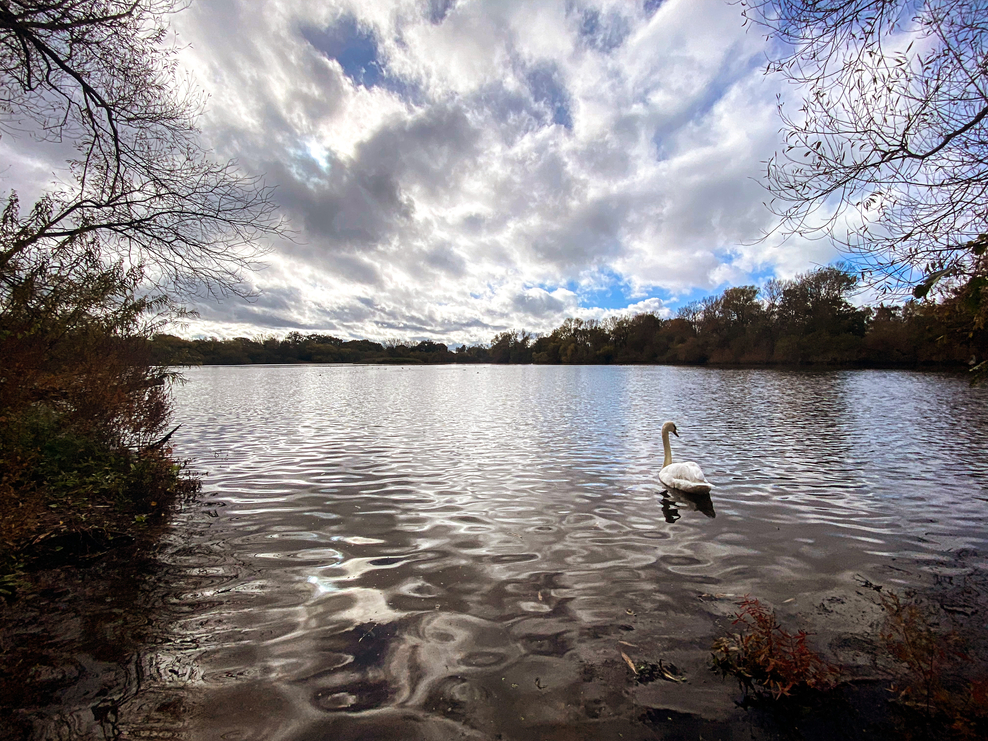 Geography teacher who visited every BBOWT reserve heralds their healing ...