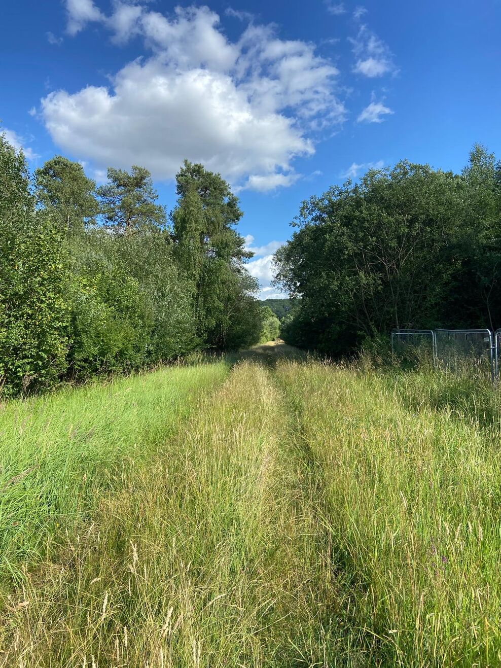 Reconnecting Bernwood, Otmoor and the Ray (RBOR) | Berks Bucks and Oxon ...