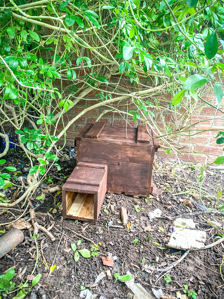 How to create a community garden from scratch | Berks Bucks & Oxon ...