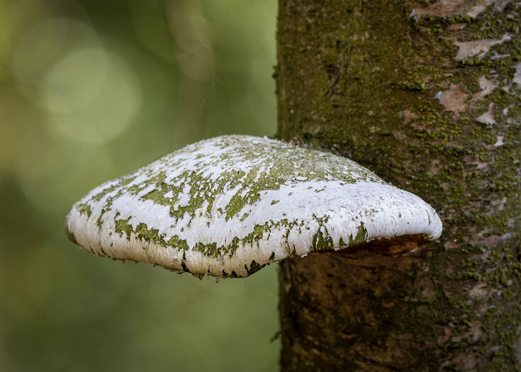 Photo Competition Winners 2025 | Berks Bucks and Oxon Wildlife Trust