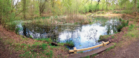 Where to go in January | Berks Bucks and Oxon Wildlife Trust