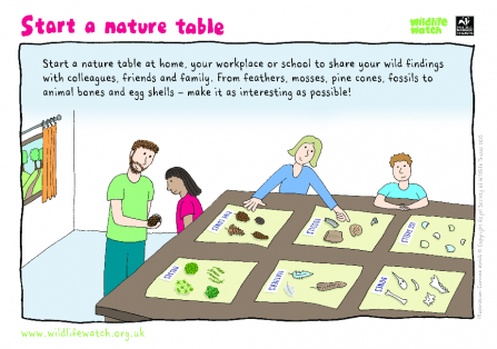Family activity: how to make a nature table | Berks Bucks & Oxon ...