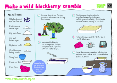 Family activity: how to make wild blackberry crumble | Berks Bucks ...