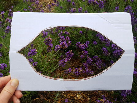 Family activity: how to make a nature art frame | Berks Bucks & Oxon ...