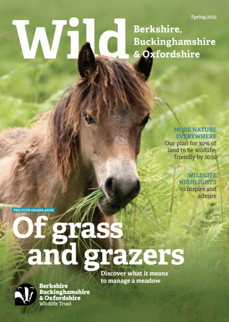 Publications | Berks, Bucks & Oxon Wildlife Trust