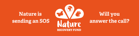 Nature Recovery Fund | Berks Bucks & Oxon Wildlife Trust