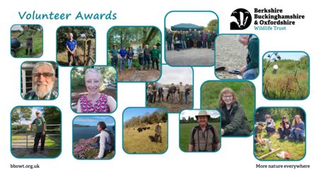 Volunteer awards | Berks Bucks & Oxon Wildlife Trust