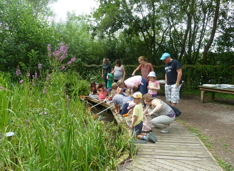 Community engagement | Berks Bucks & Oxon Wildlife Trust