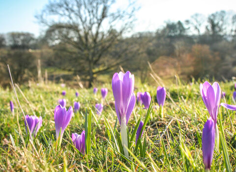 Home | Berks Bucks & Oxon Wildlife Trust